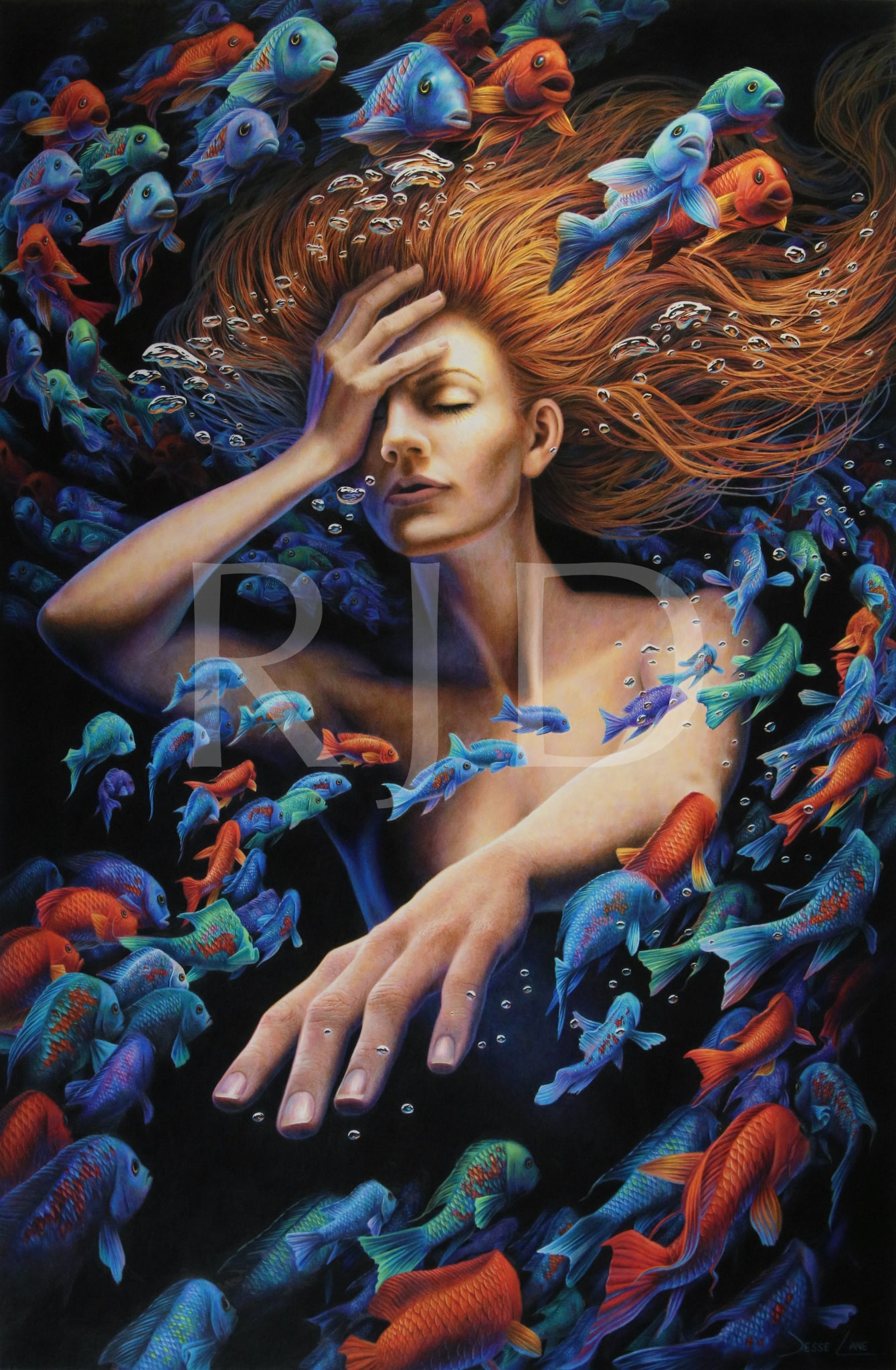 Artists / Collections Jesse Lane : RJD Gallery