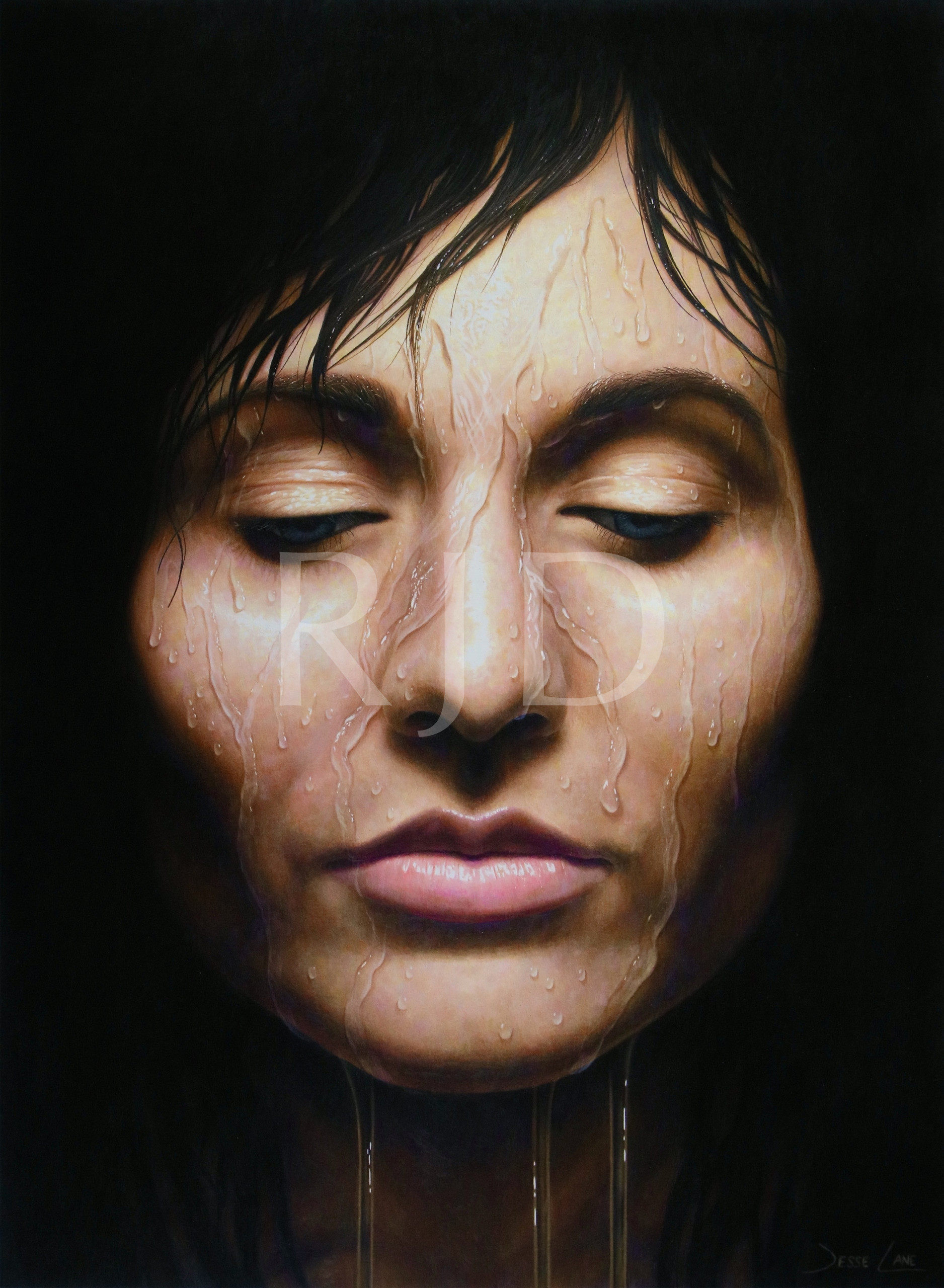Artists / Collections Jesse Lane : RJD Gallery