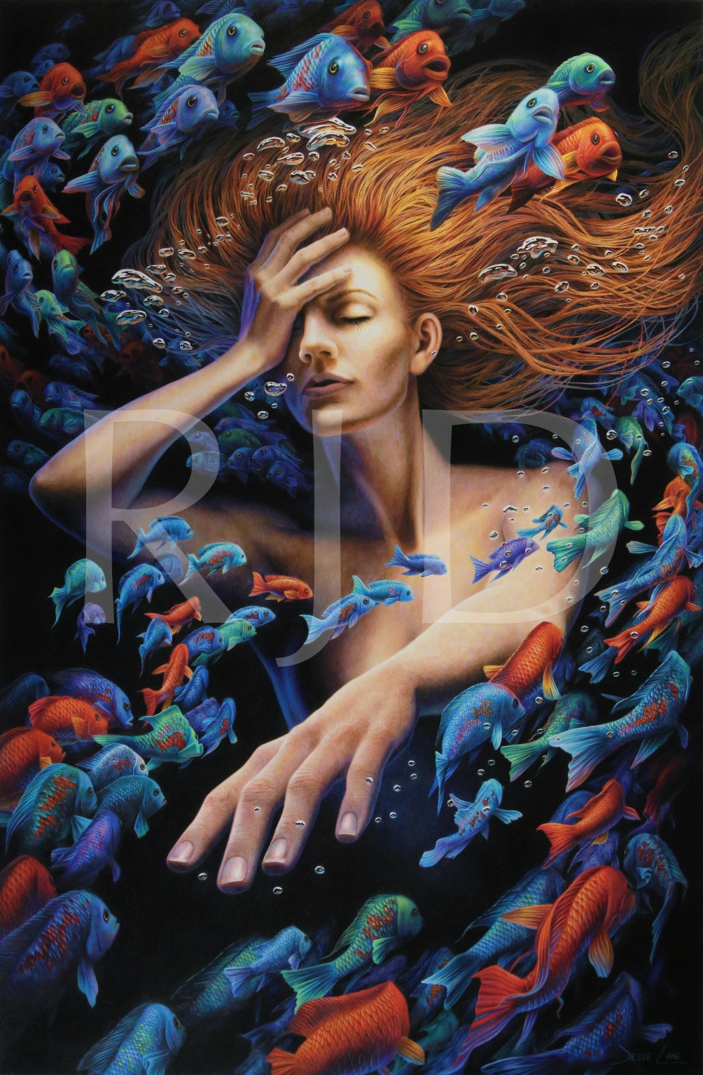 Artists / Collections Jesse Lane : RJD Gallery
