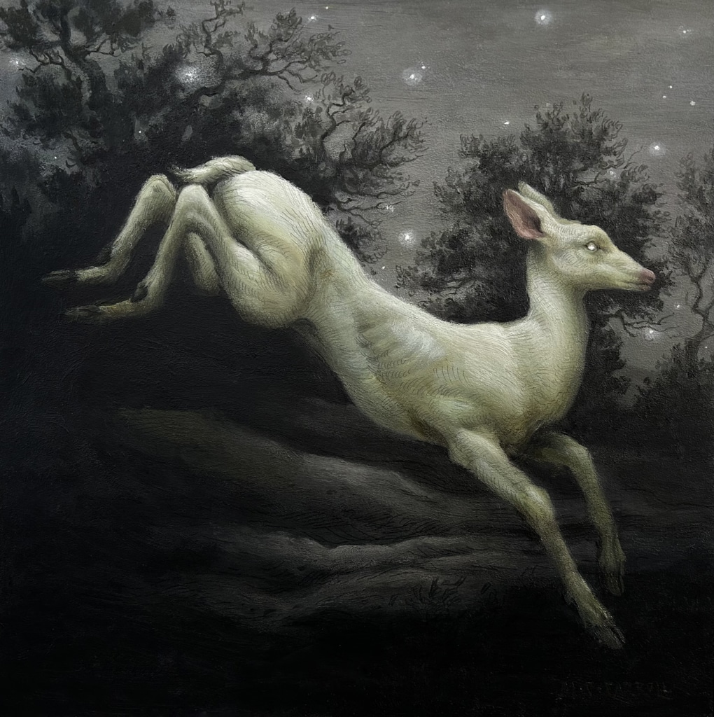 Stargazer - RJD Gallery